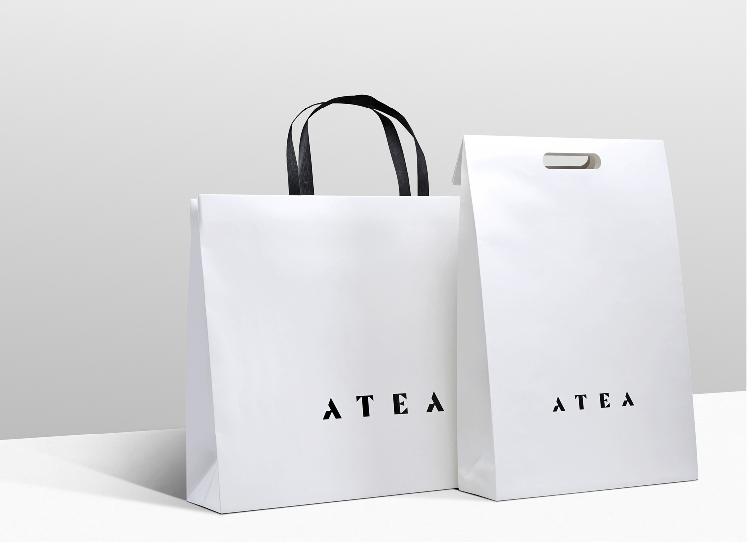 Luxury Branded Shopping Bags | semashow.com