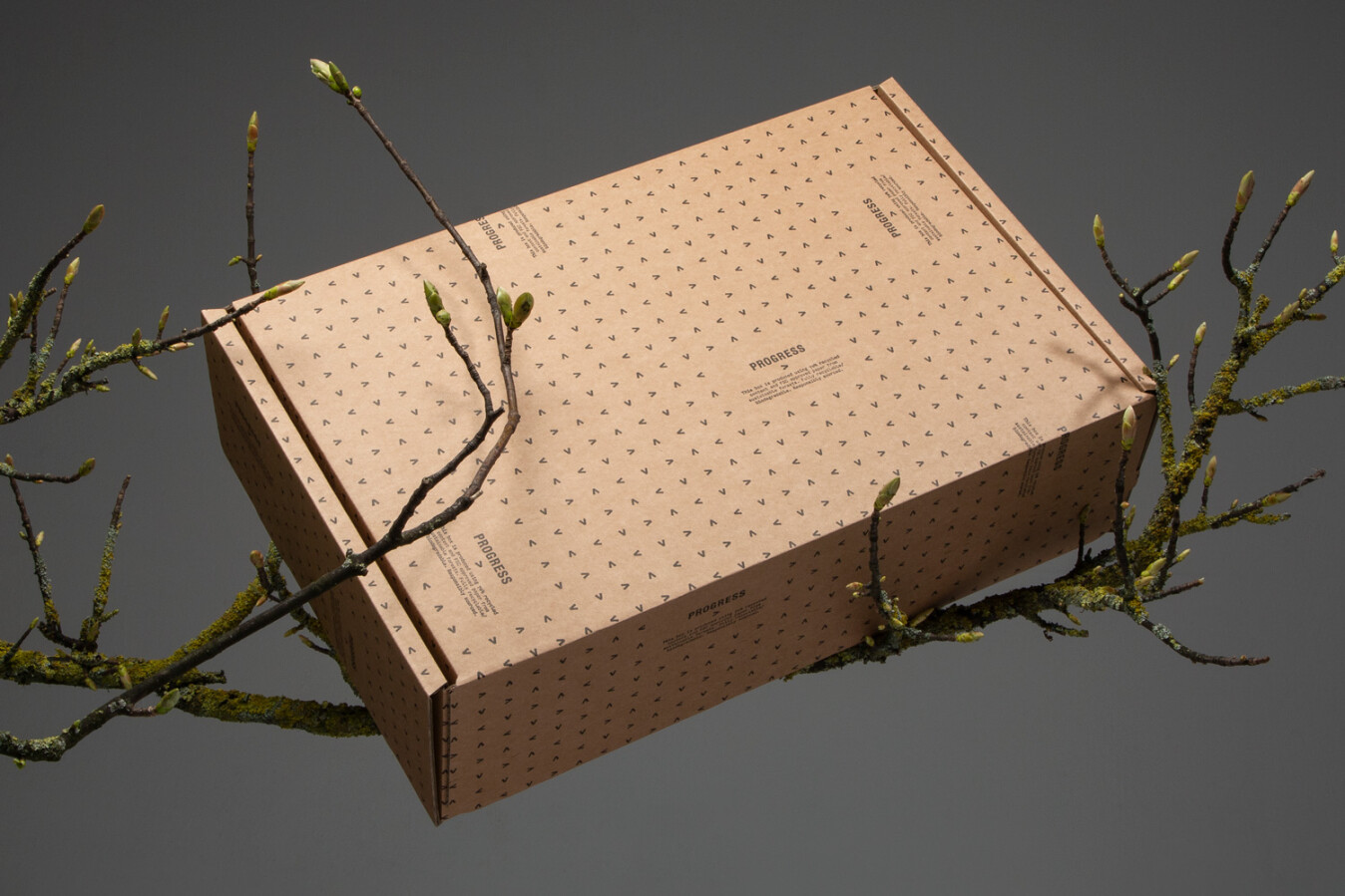 Eco Friendly Mailing Box Manufacture > Progress Packaging