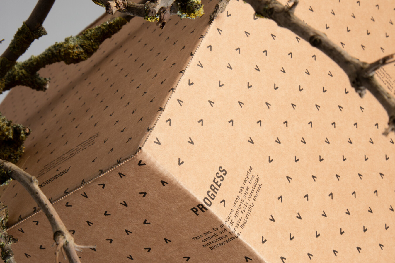 Eco Friendly Packaging Collection Manufacture > Progress