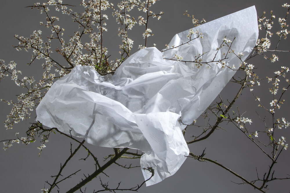 Eco Friendly Tissue Paper Manufacture > Progress Packaging