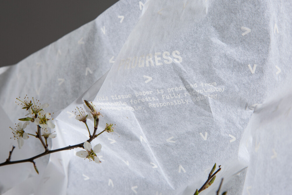Eco Friendly Tissue Paper Manufacture > Progress Packaging