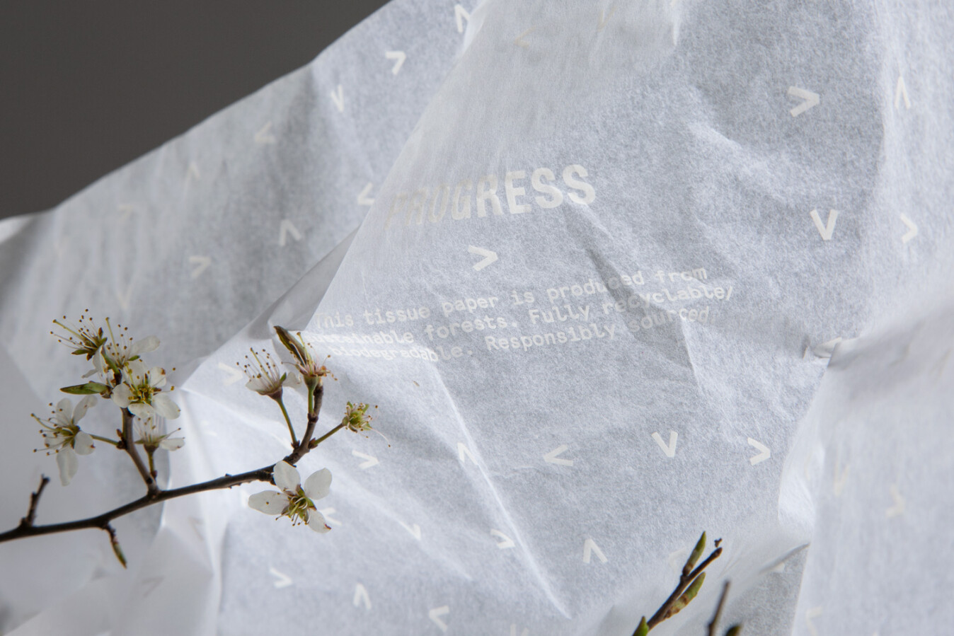 Eco Friendly Tissue Paper Manufacture > Progress Packaging