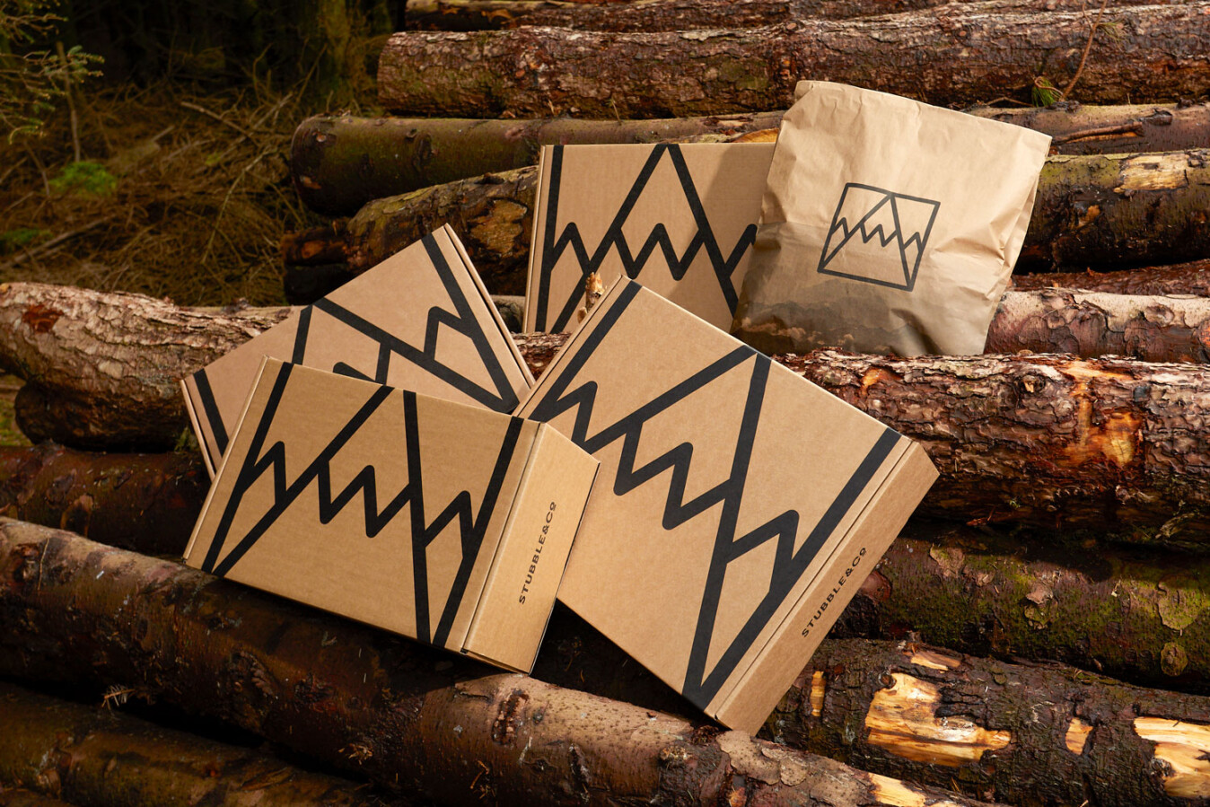 Stubble & Co E-commerce Transit Boxes - Progress