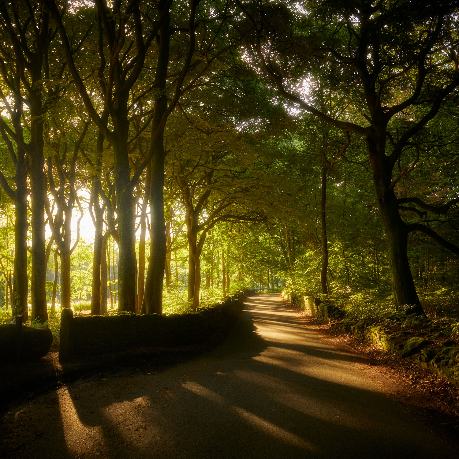 Sustainability - Progress Packaging