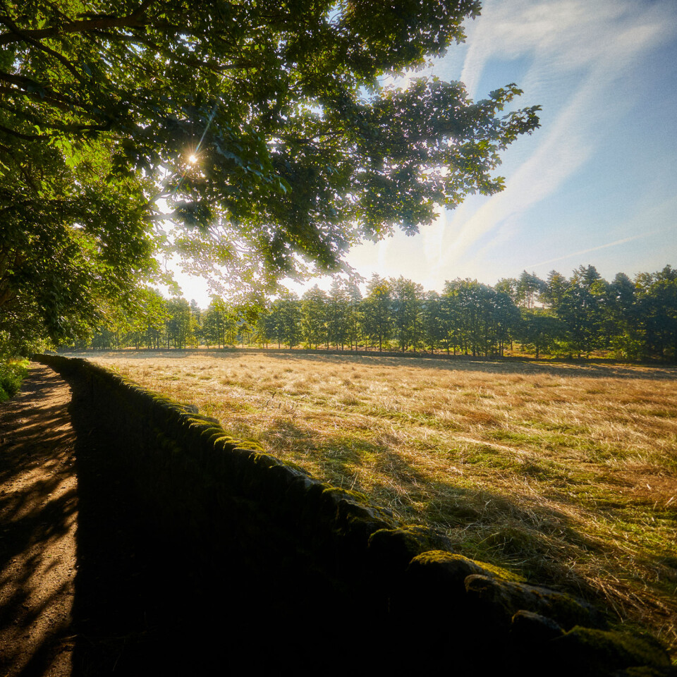 Contact - Progress Packaging