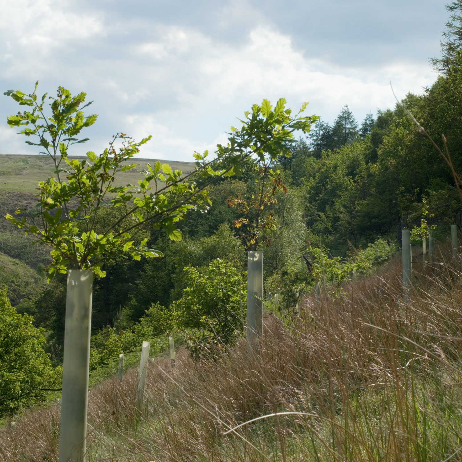 Our Values > Progress Packaging